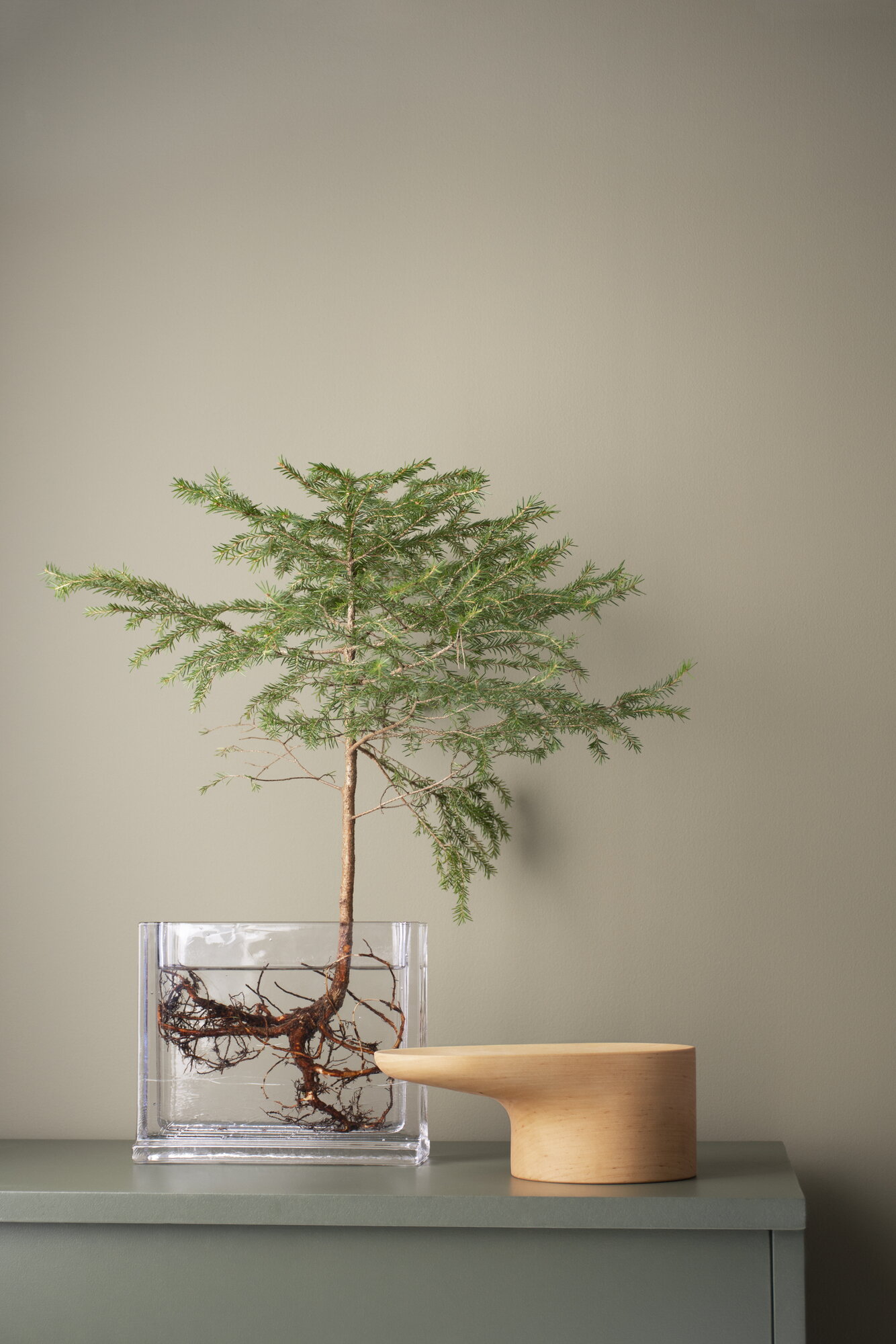 Nedre Foss Platå tray, red alder | Finnish Design Shop