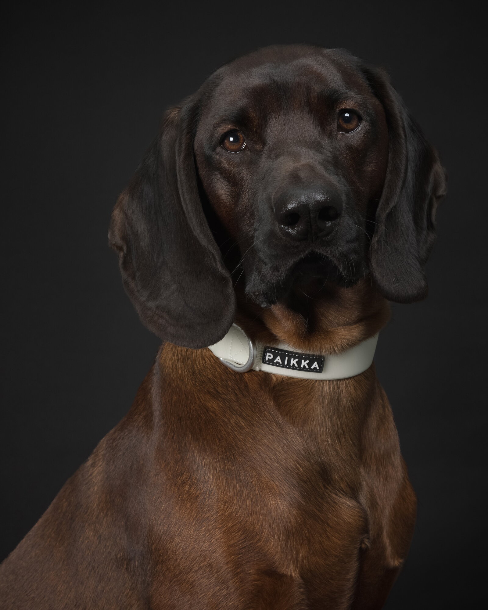 PAIKKA Glow collar, white | Finnish Design Shop