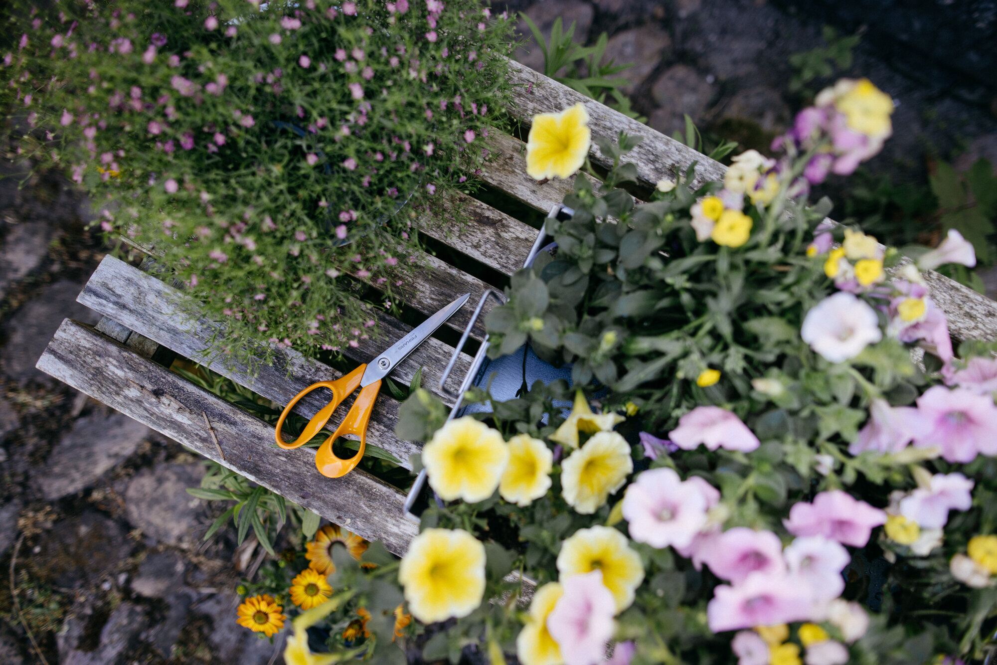 Fiskars Classic universal scissors, 21 cm, garden | Finnish Design Shop