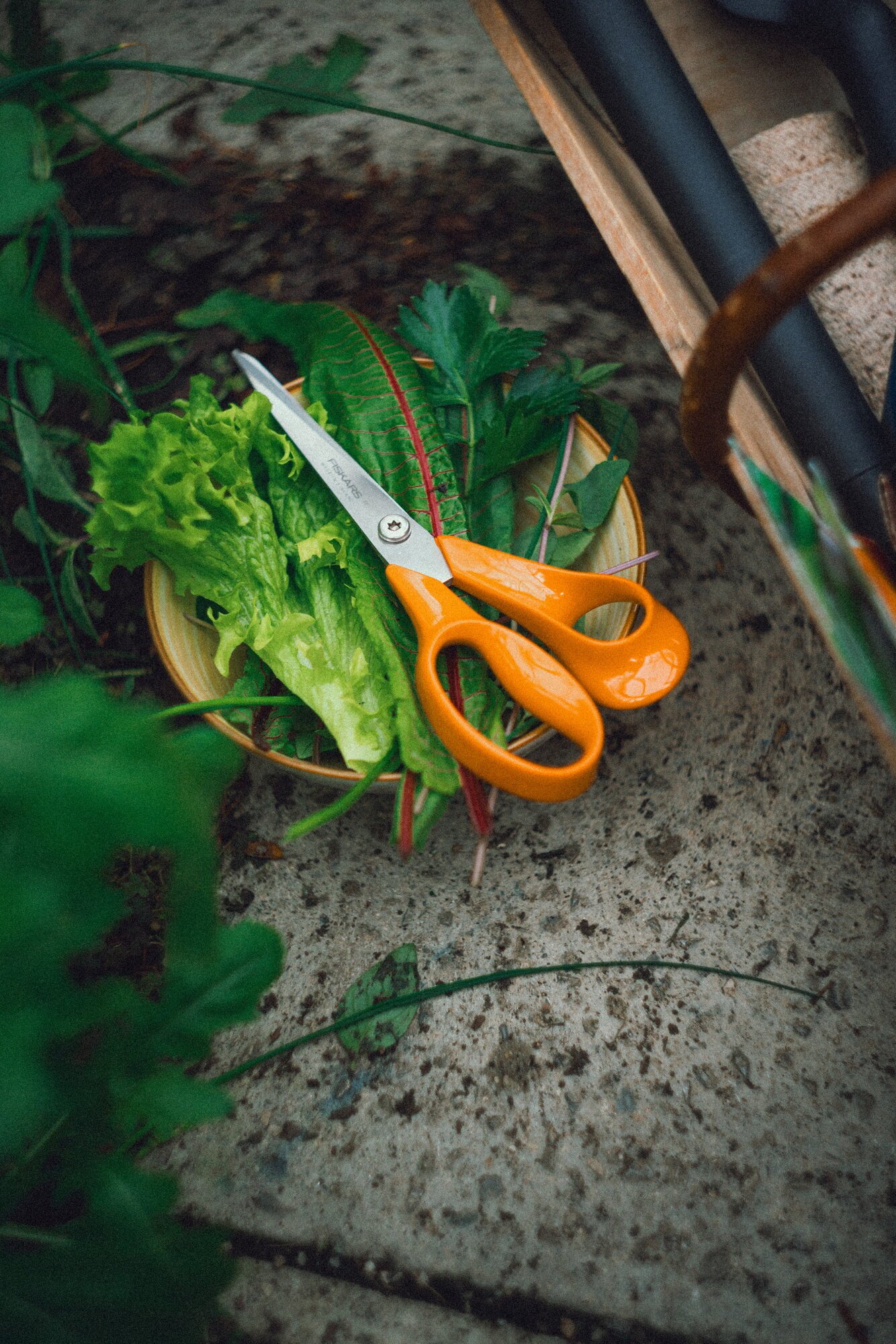 Fiskars Classic universal scissors, 21 cm | Finnish Design Shop IE