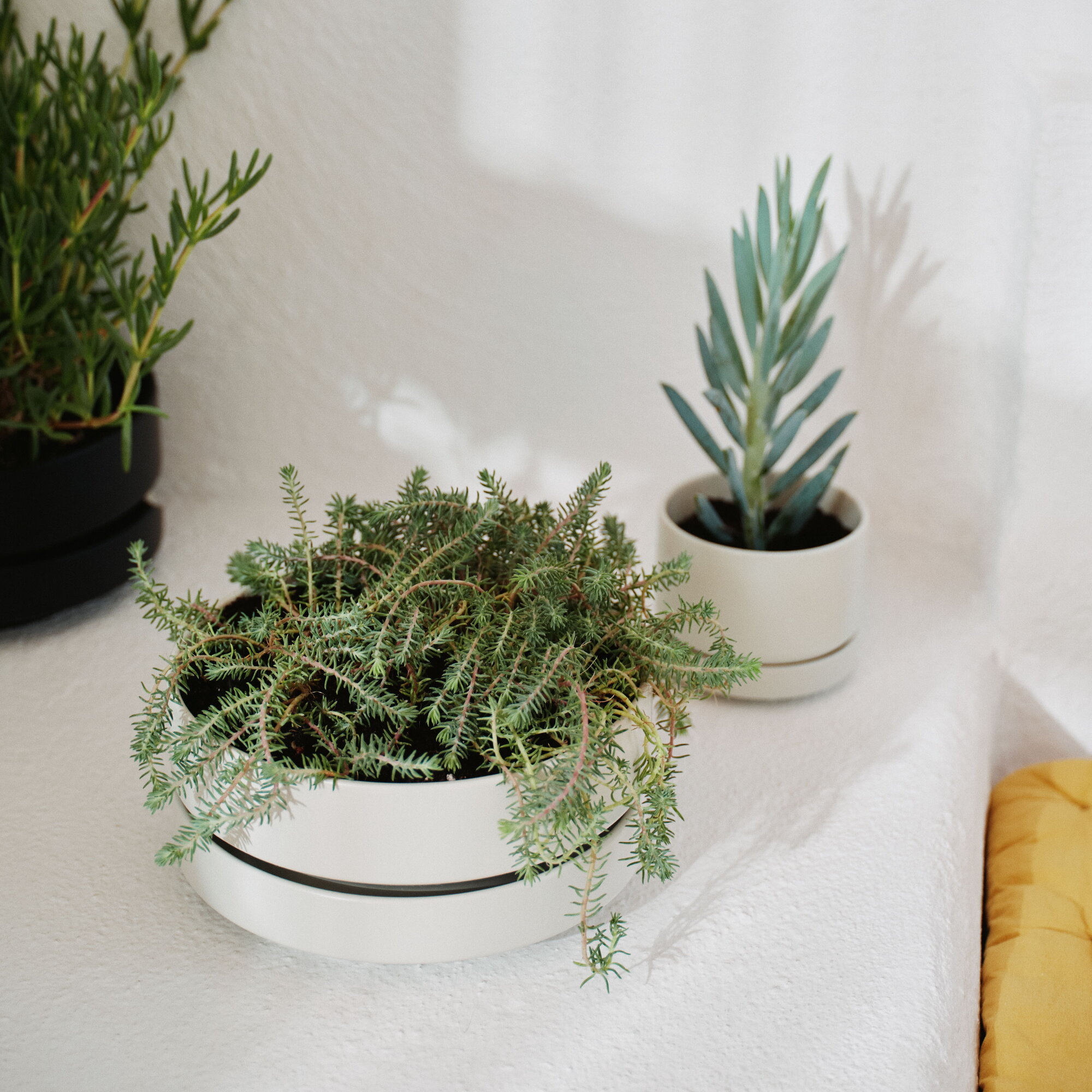 Arabia kruka SN, 22 cm, låg, matt vit | Finnish Design Shop