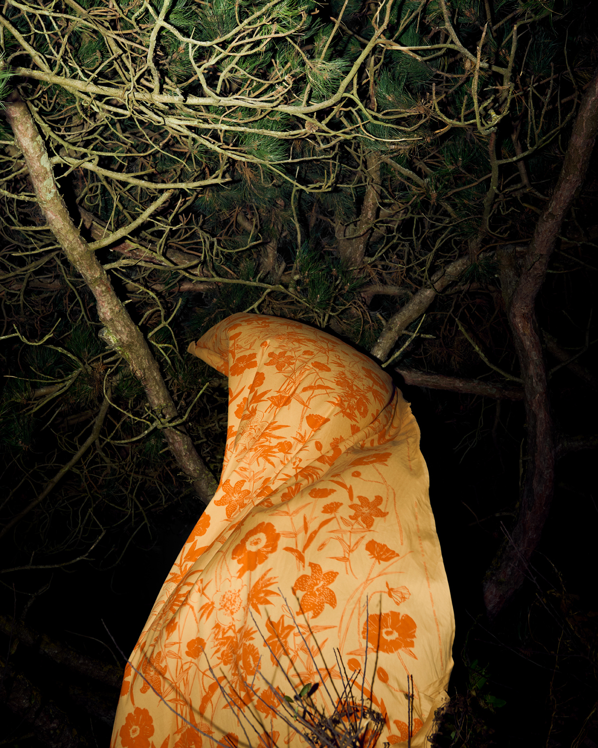 Marimekko Perenna panama fabric, caramel - burnt orange | Finnish ...