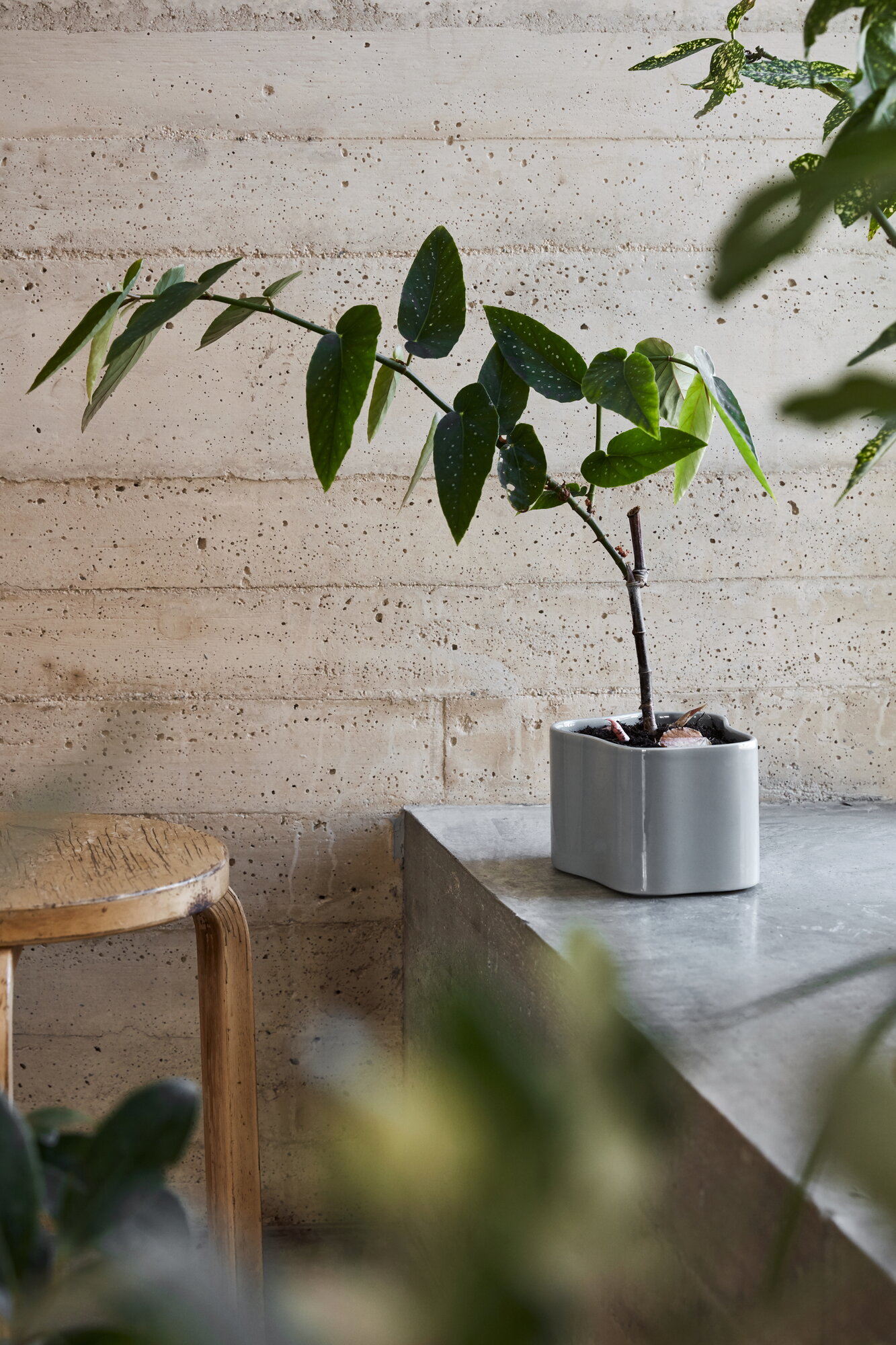 Artek Riihitie plant pot B, small, light grey | Finnish Design Shop