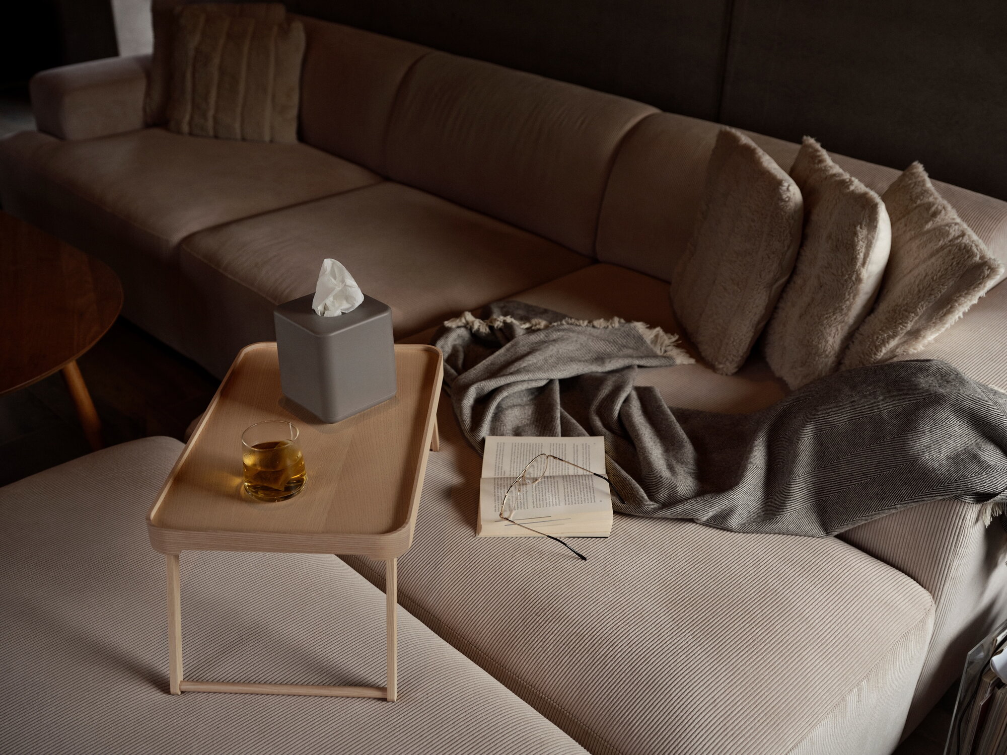 Zone Denmark Inu tray, ash | Finnish Design Shop