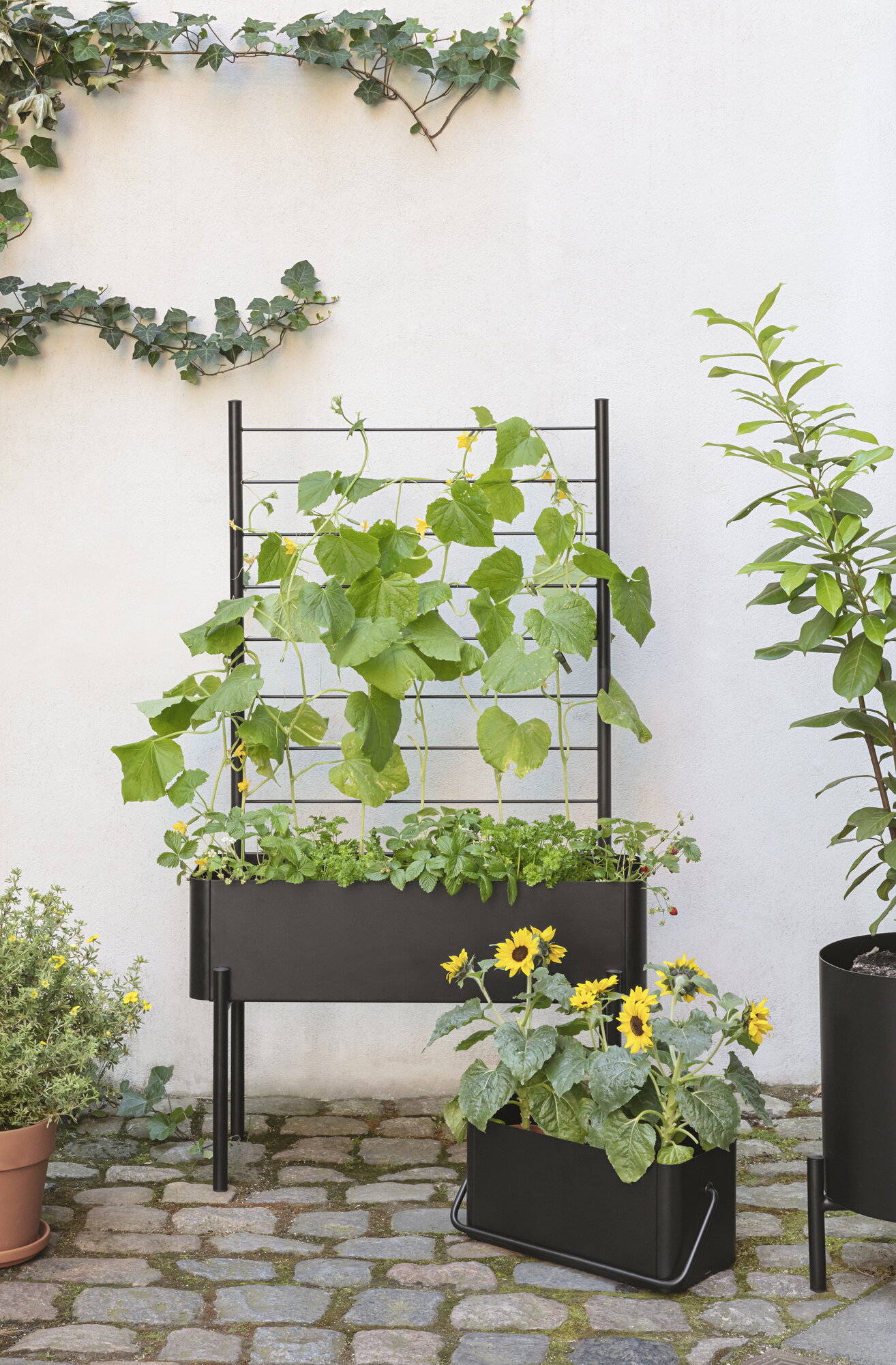 Eva Solo Simply Grow balcony planter, 80 x 33 cm, black | Finnish ...