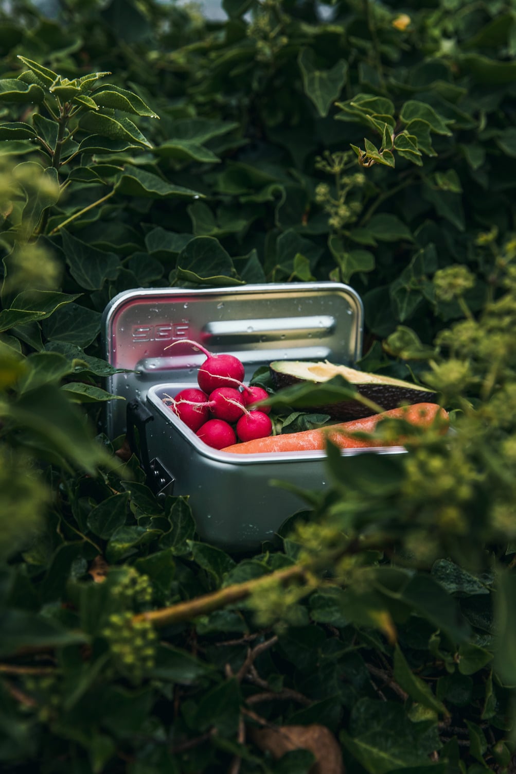 SIGG Metal Box Plus, L, aluminum | Finnish Design Shop