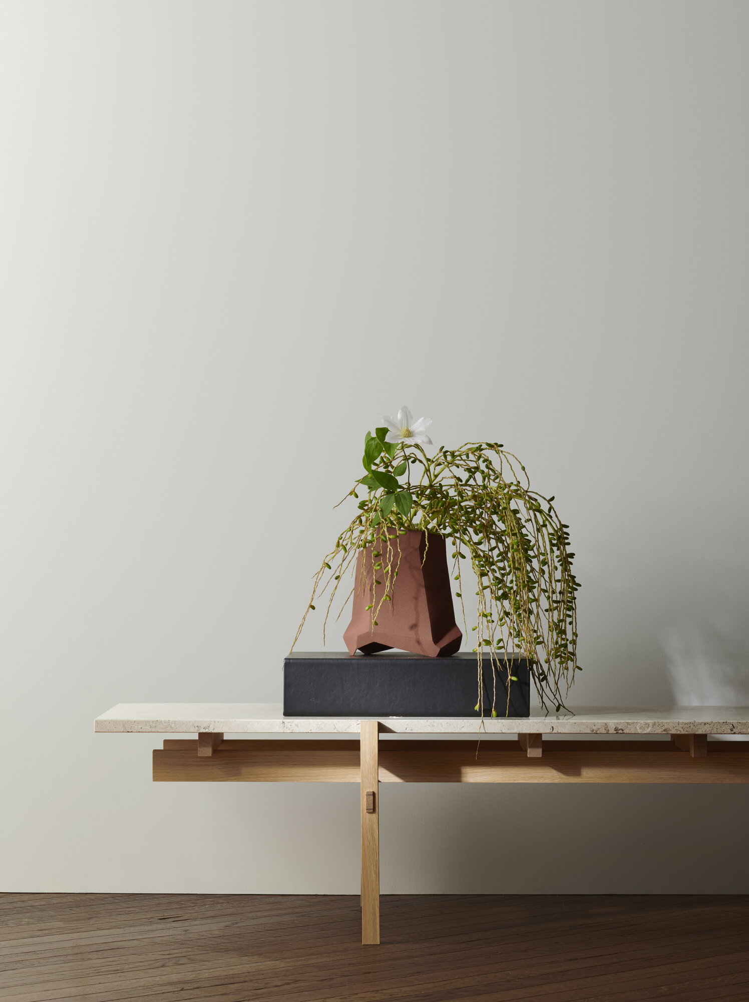 Karimoku Case N-CT01 coffee table, 48,5 x 150 cm, lacquered oak ...