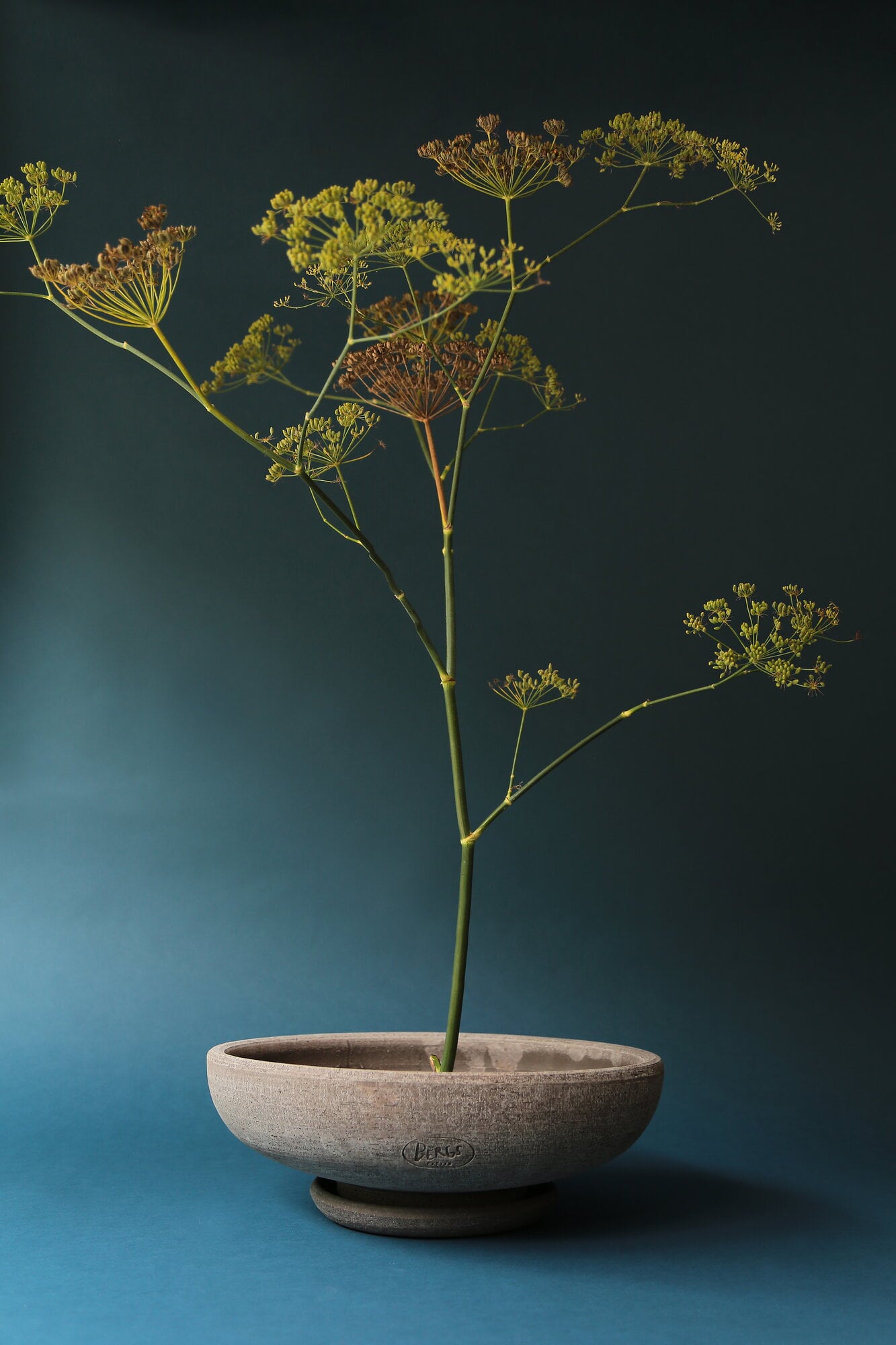 Bergs Potter Ada low flowerpot with saucer, raw grey | Finnish Design Shop