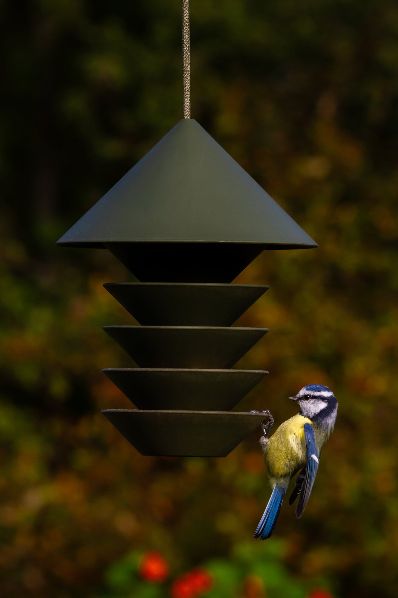 Pidät Bird Silo feeder, green | Finnish Design Shop