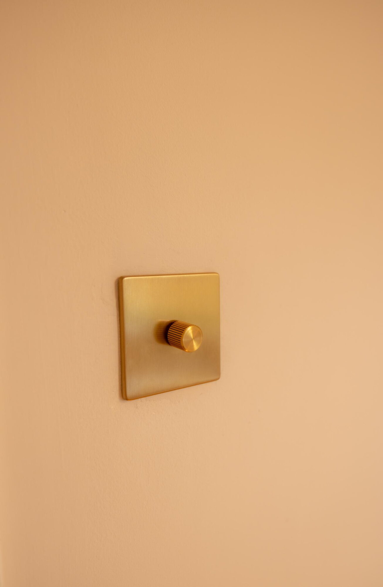Tala Single rotary wall dimmer, brass | Finnish Design Shop
