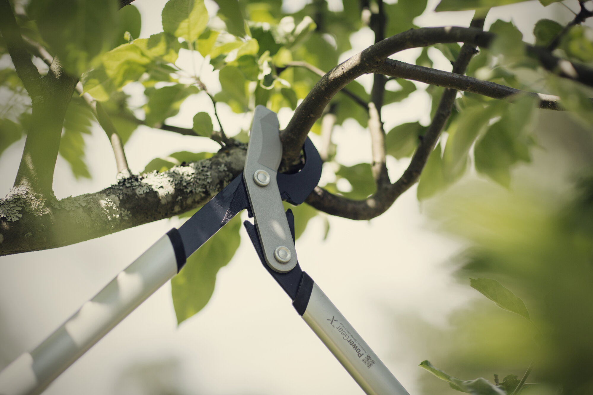 Fiskars PowerGear X lopper, bypass, M, LX94 | Finnish Design Shop