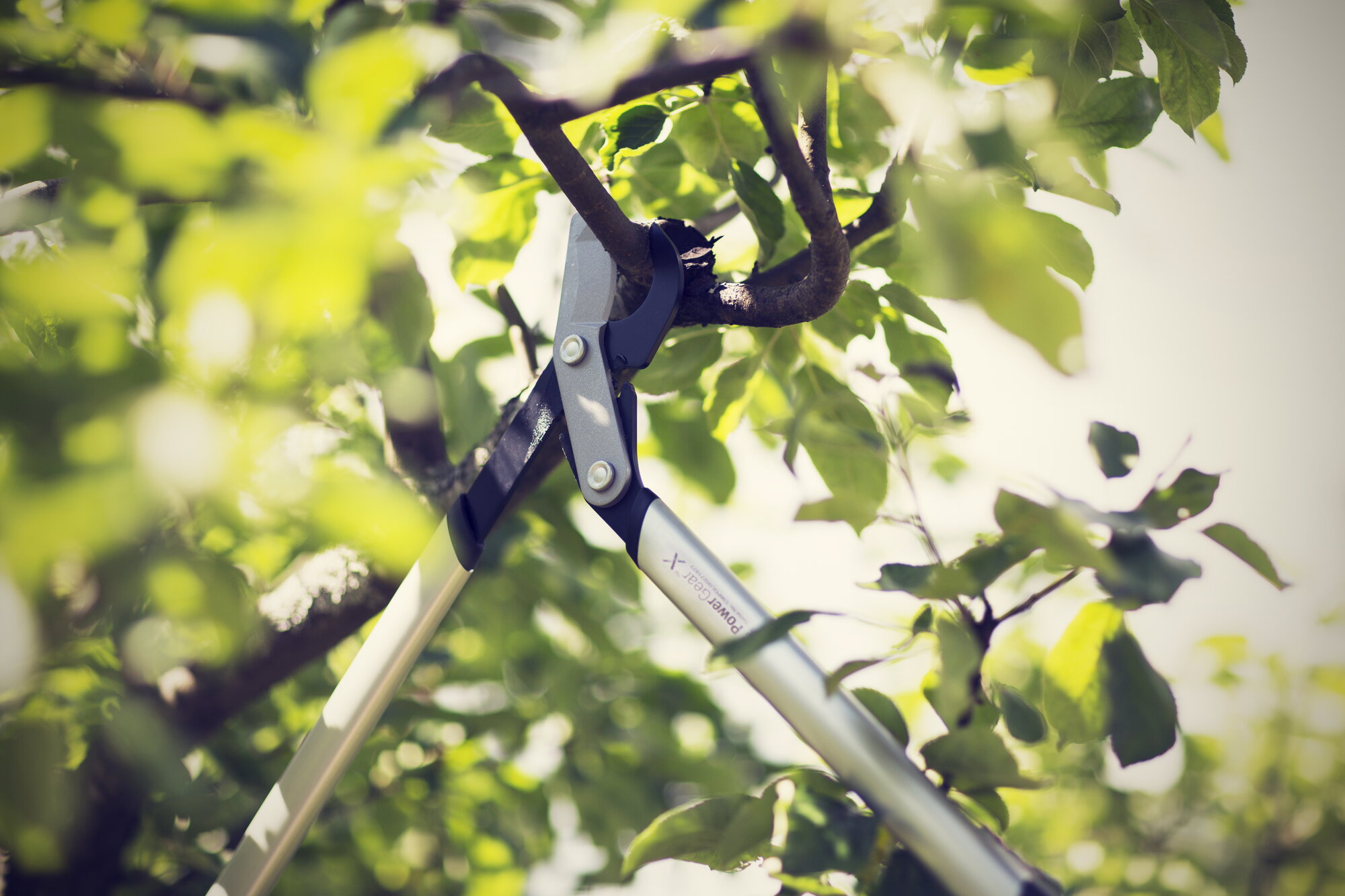 Fiskars PowerGear X lopper, bypass, M, LX94 | Finnish Design Shop