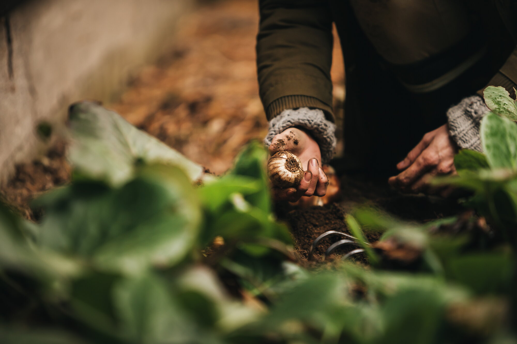 Fiskars Xact hand rake | Finnish Design Shop