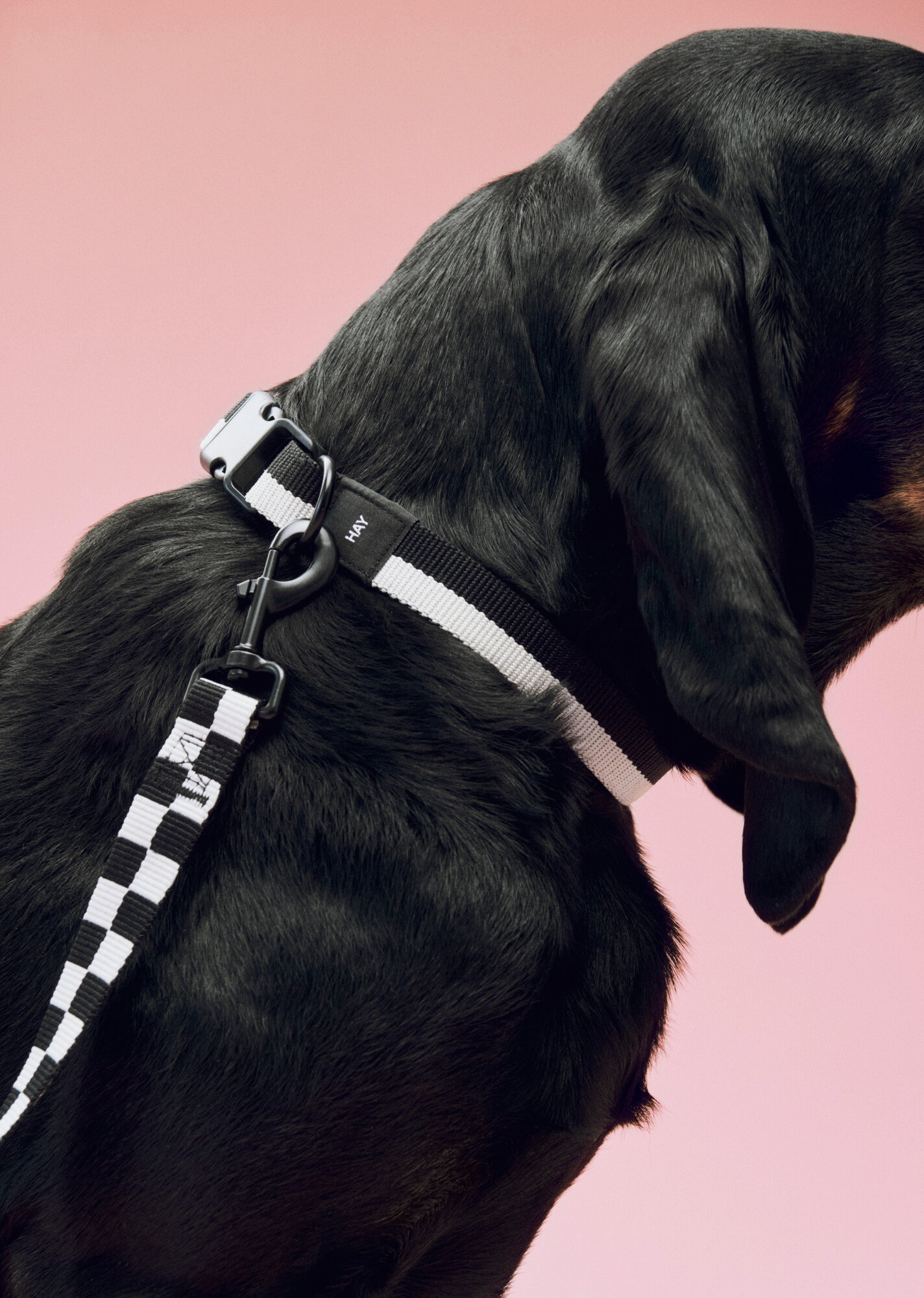 HAY Dogs leash, flat, M-L, check, black - white | Finnish Design Shop