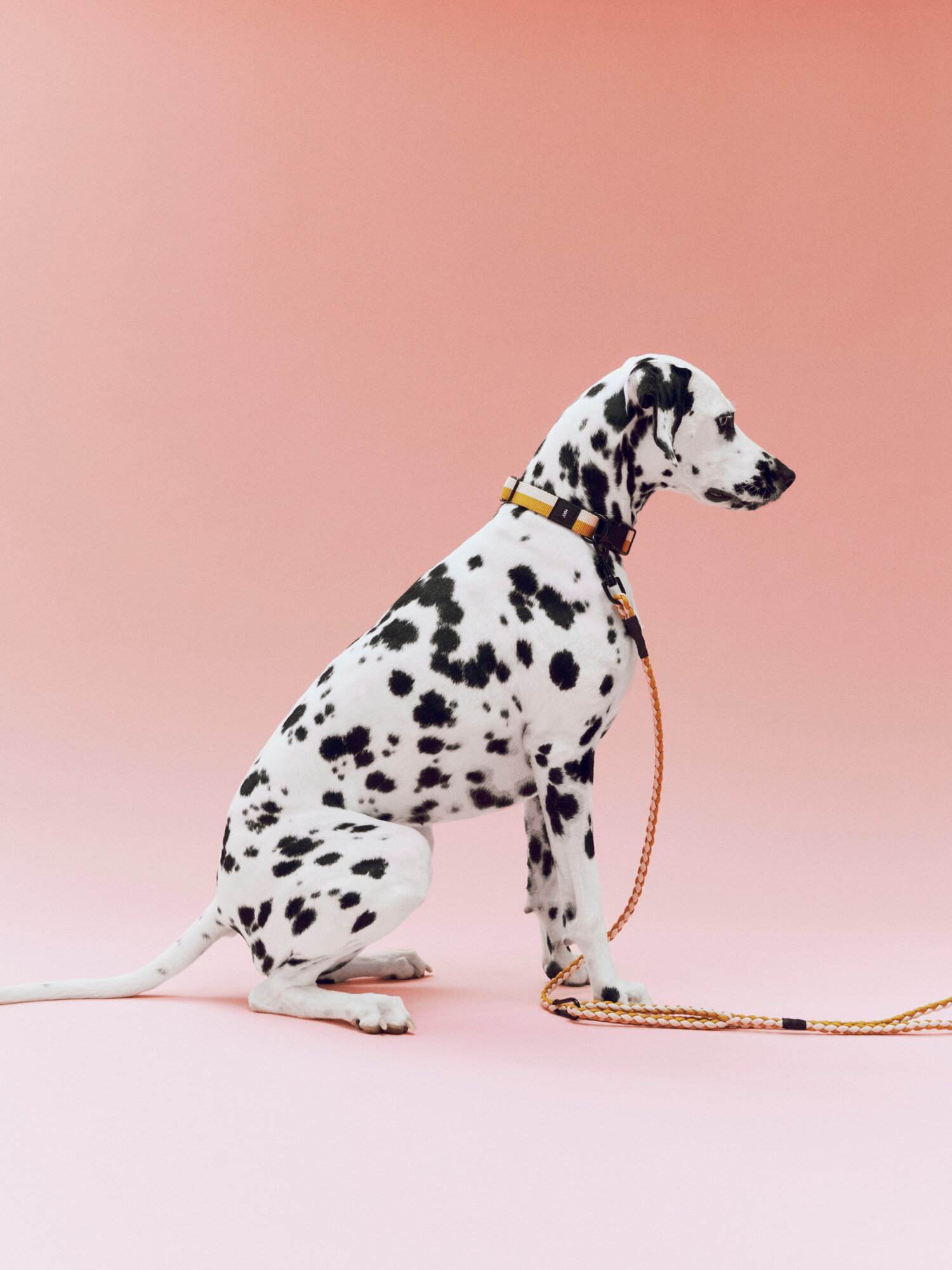 HAY Dogs leash, braided, adjustable, off-white - ochre | Finnish Design ...