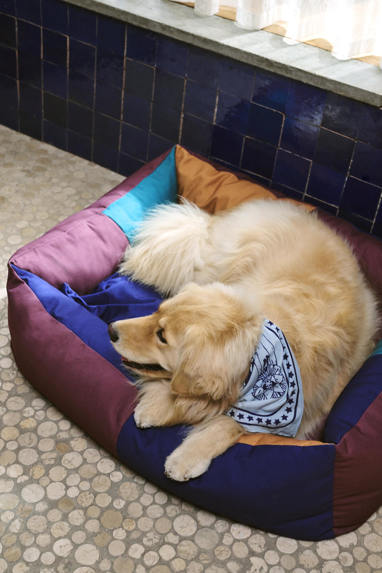 HAY Dogs scarf, 55 x 55 cm, light blue | Finnish Design Shop