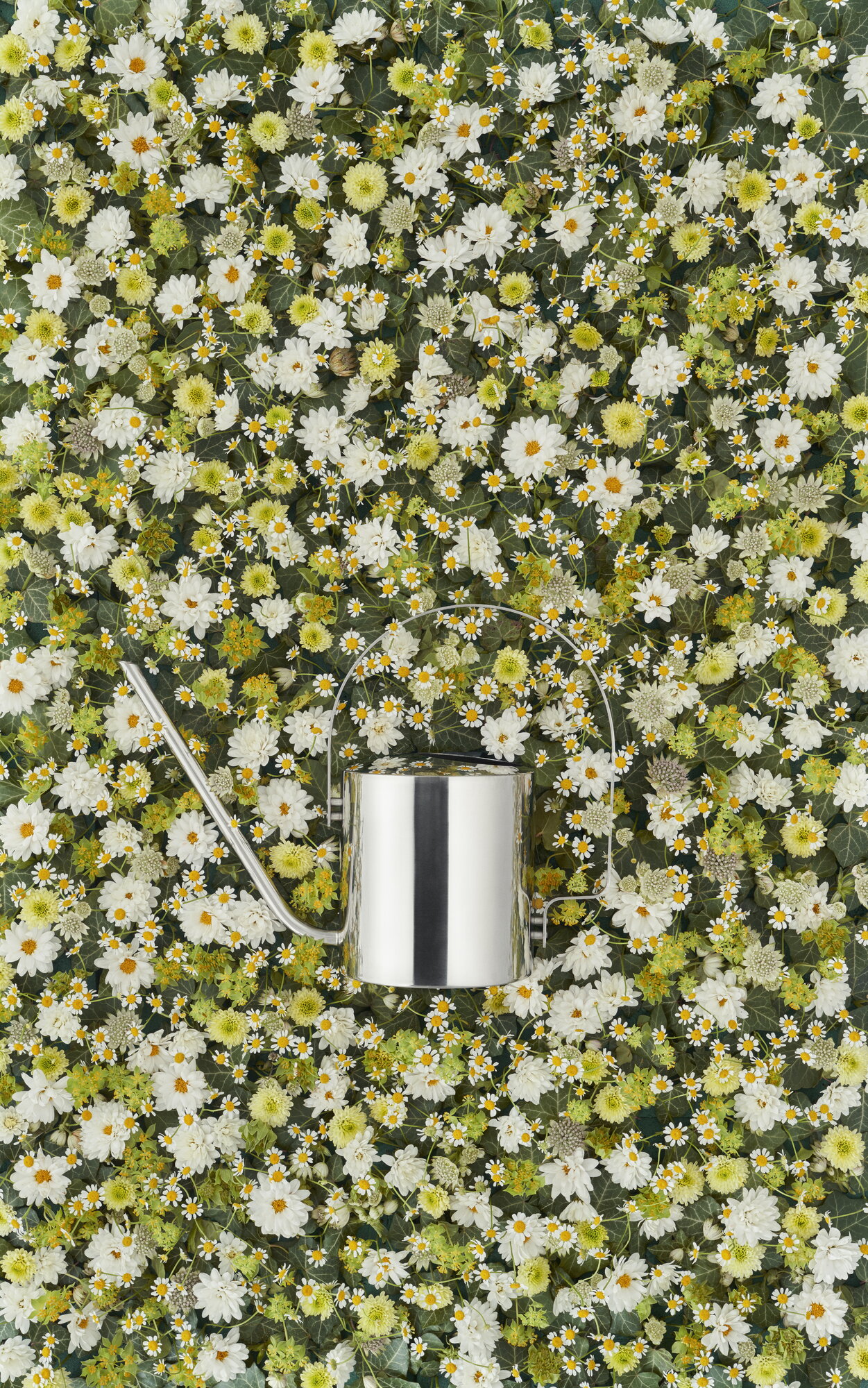 Stelton Original watering can | Finnish Design Shop