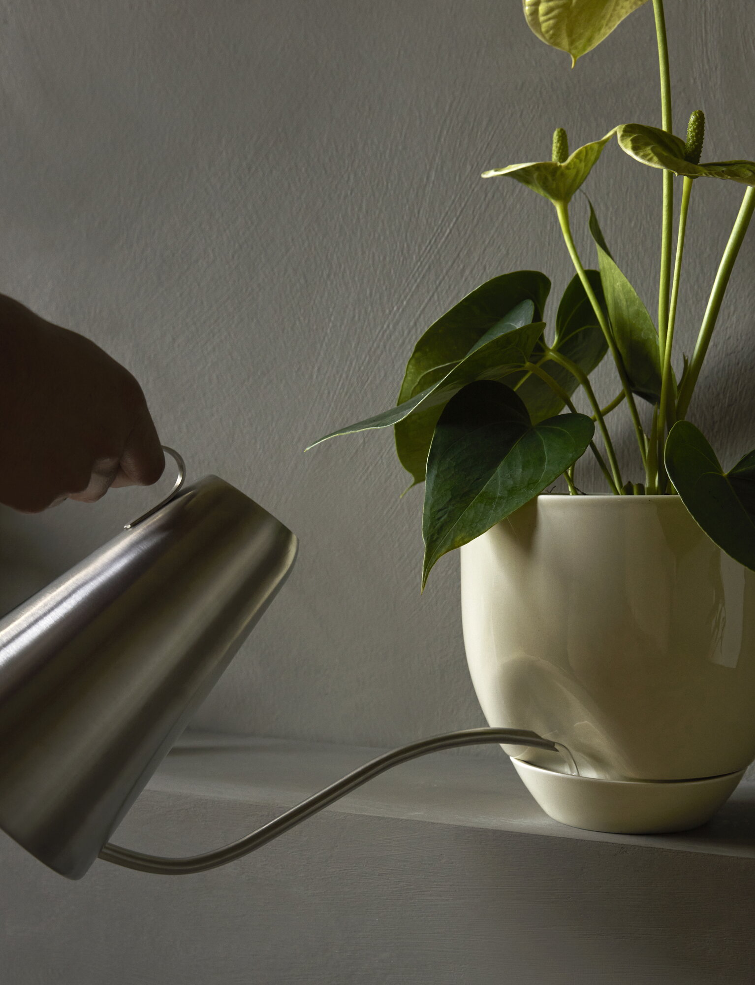 Audo Copenhagen Hydrous planter, 20 cm, ashen | Finnish Design Shop