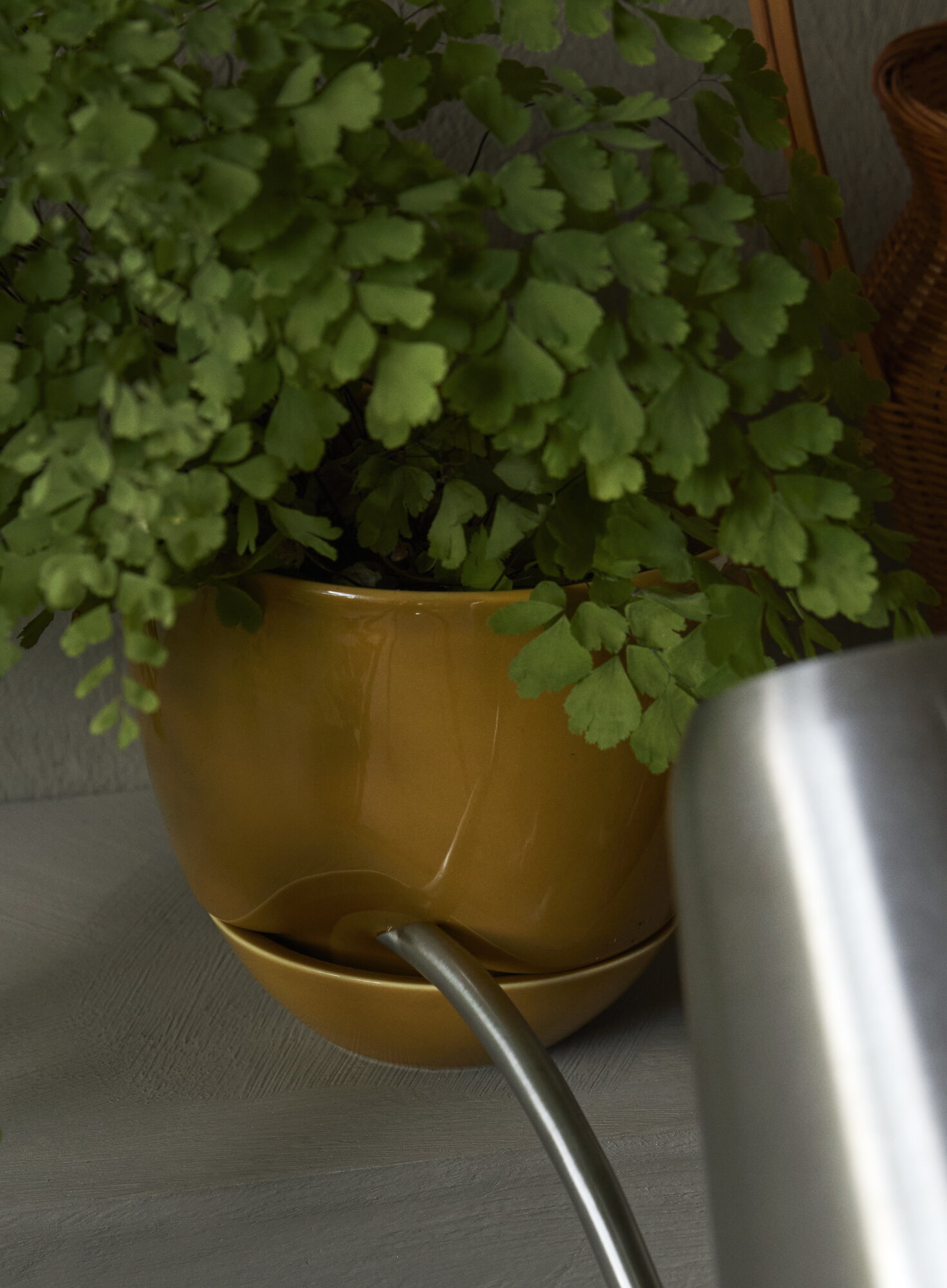 Audo Copenhagen Hydrous planter, 12 cm, ochre | Finnish Design Shop