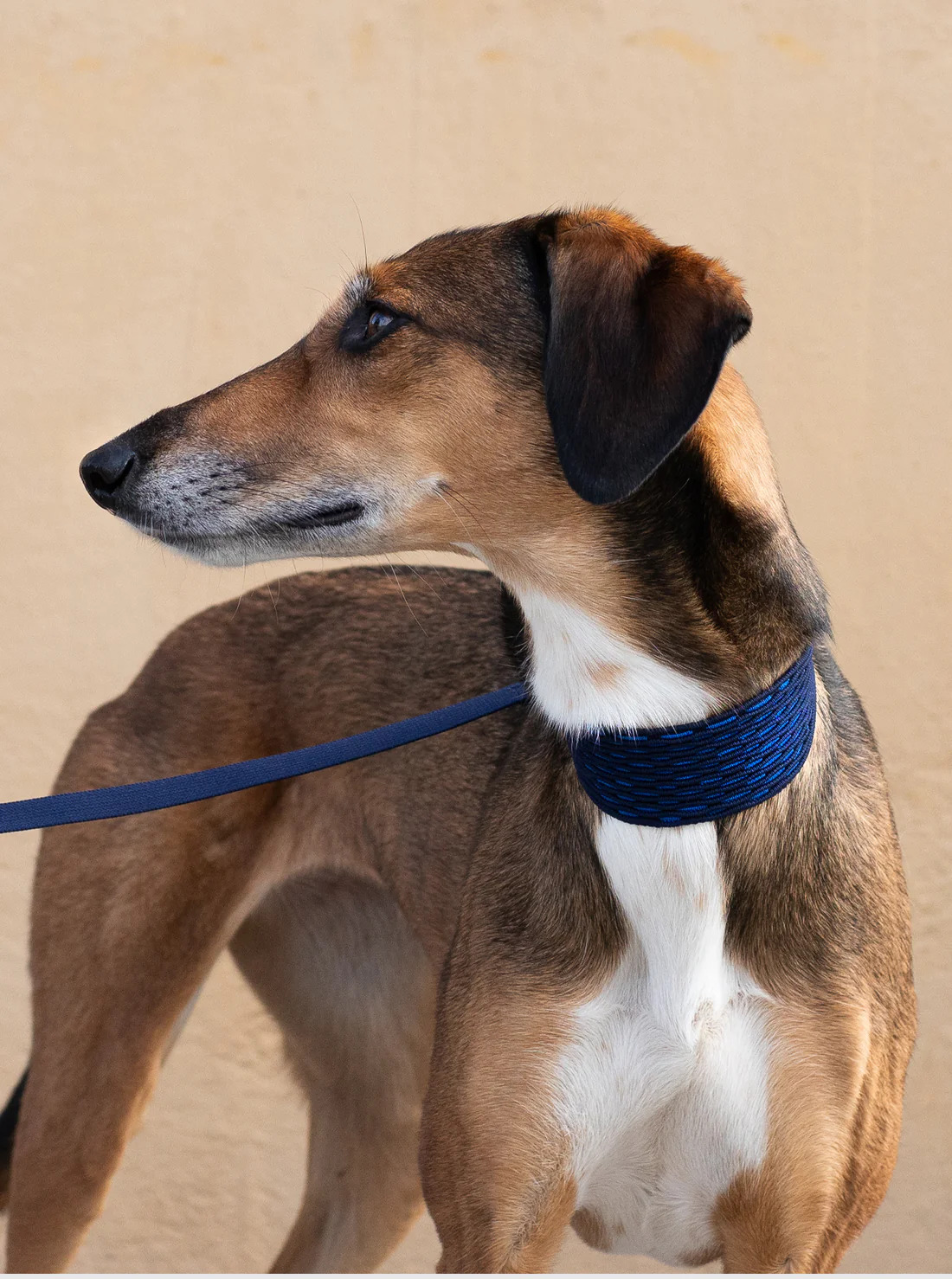 Masimalo 3D Knit kaulapanta, navy - royal blue | Finnish Design Shop