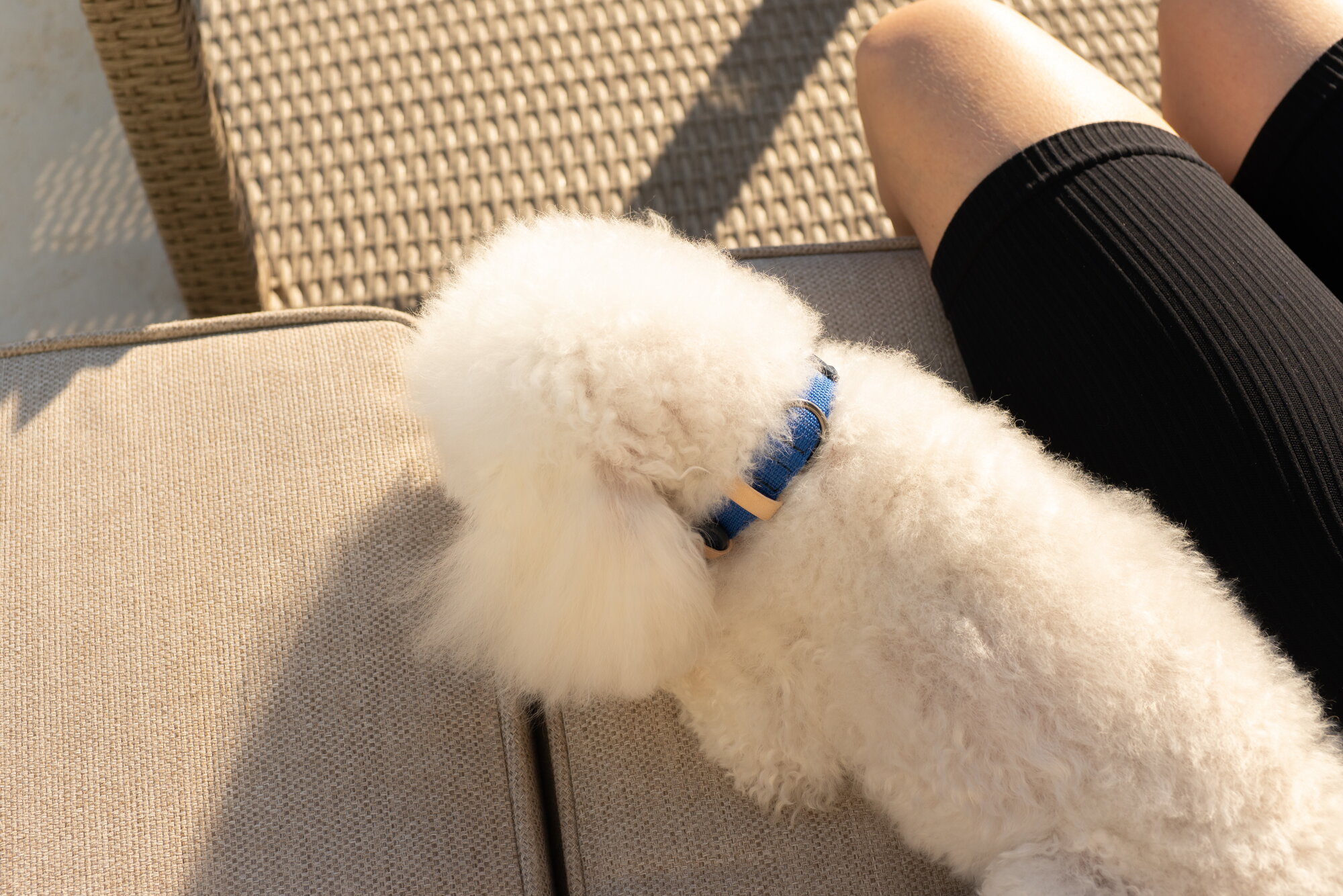 Masimalo Colour Block collar, navy - grandala blue | Finnish Design Shop