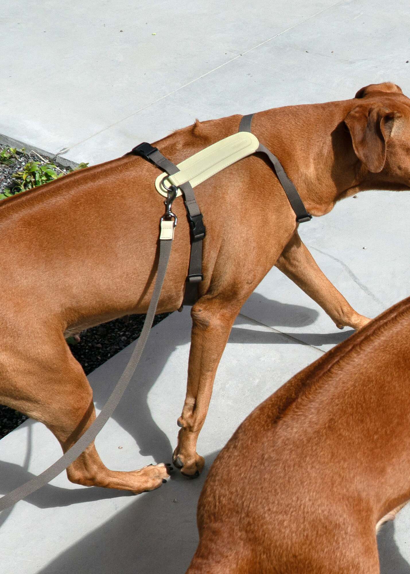 Masimalo Arch harness, light sage - khaki | Finnish Design Shop