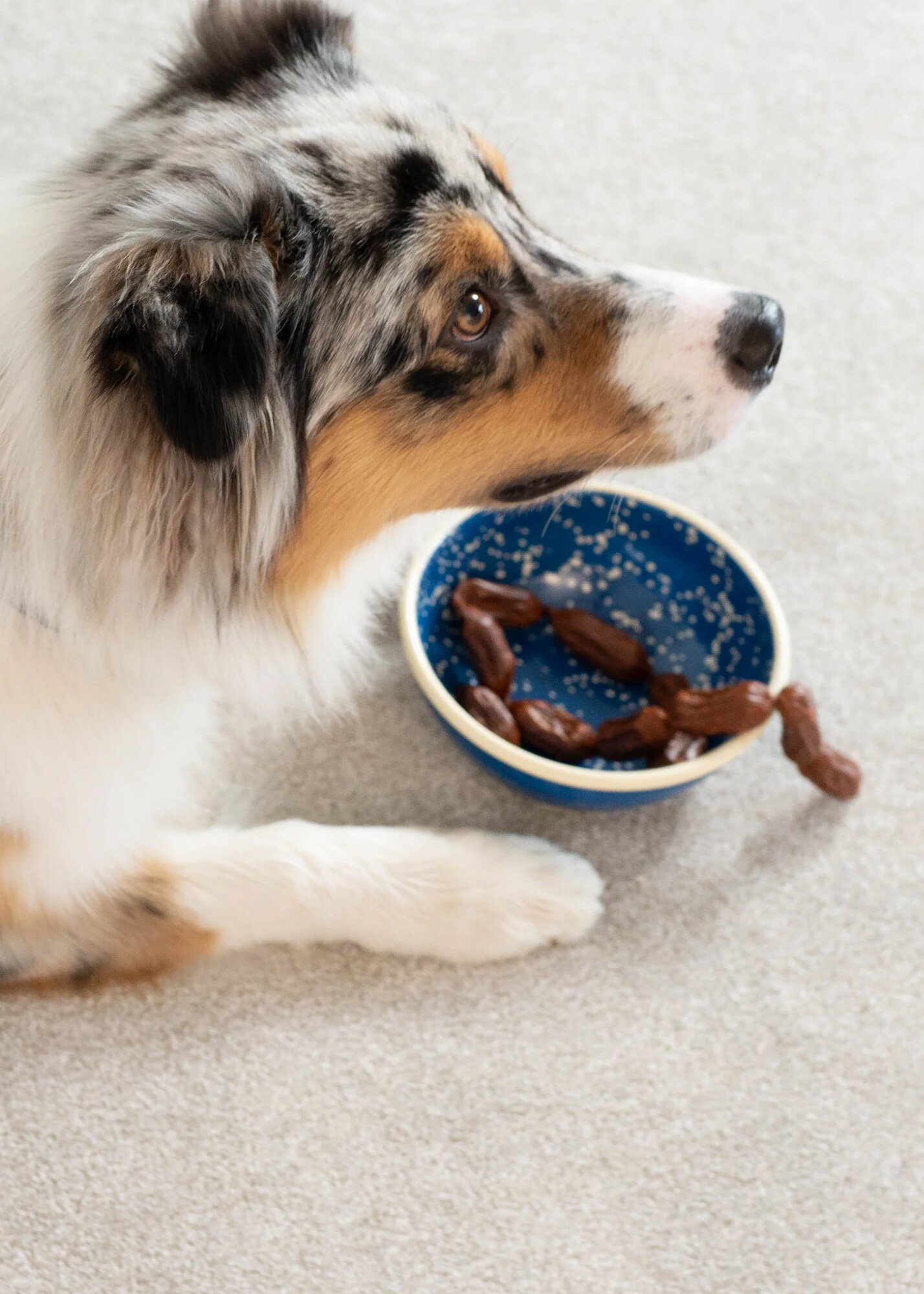 Masimalo Night Sky enamel bowl, 700 ml | Finnish Design Shop