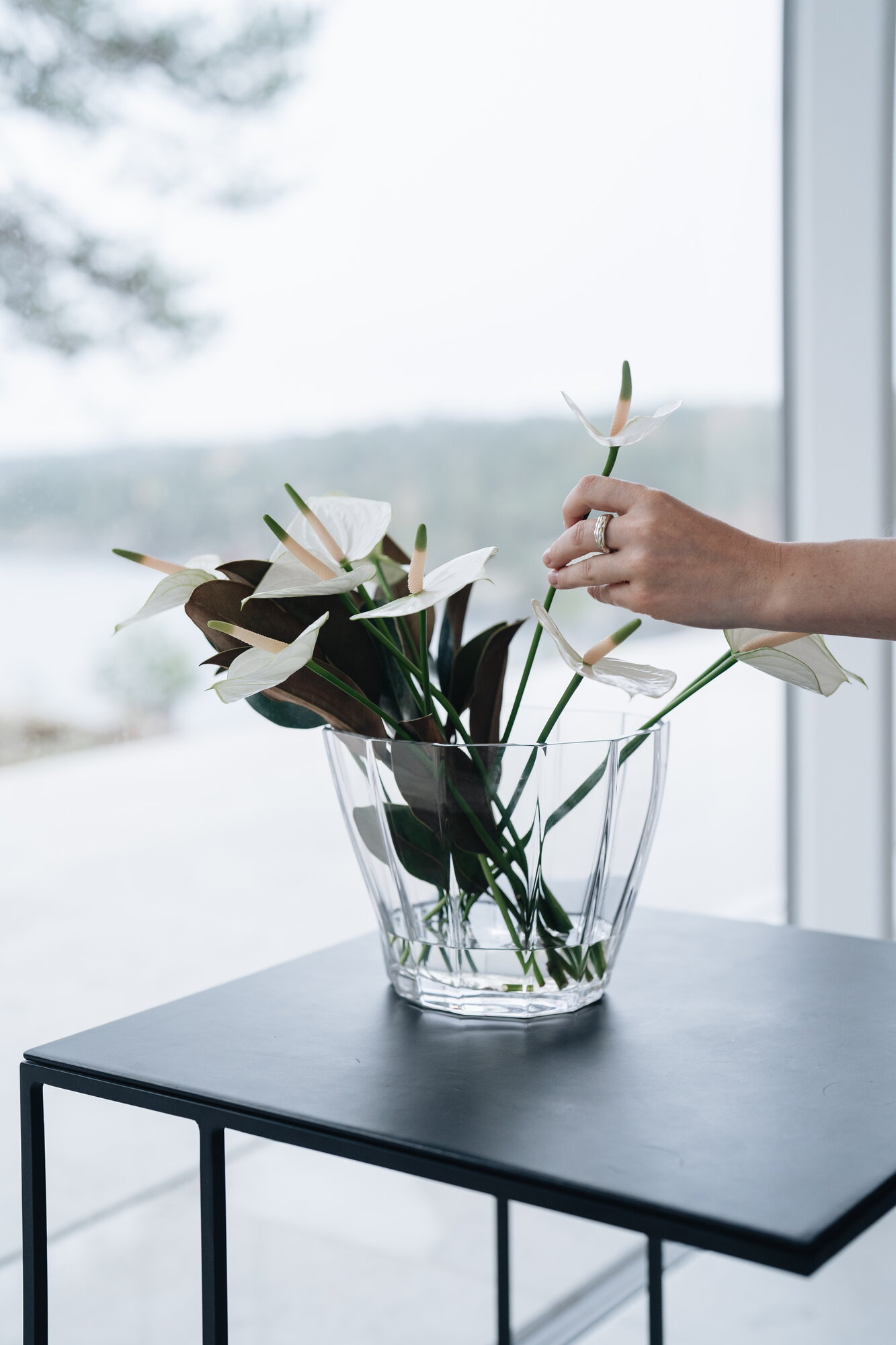Orrefors Reed vase, 175 mm, clear | Finnish Design Shop