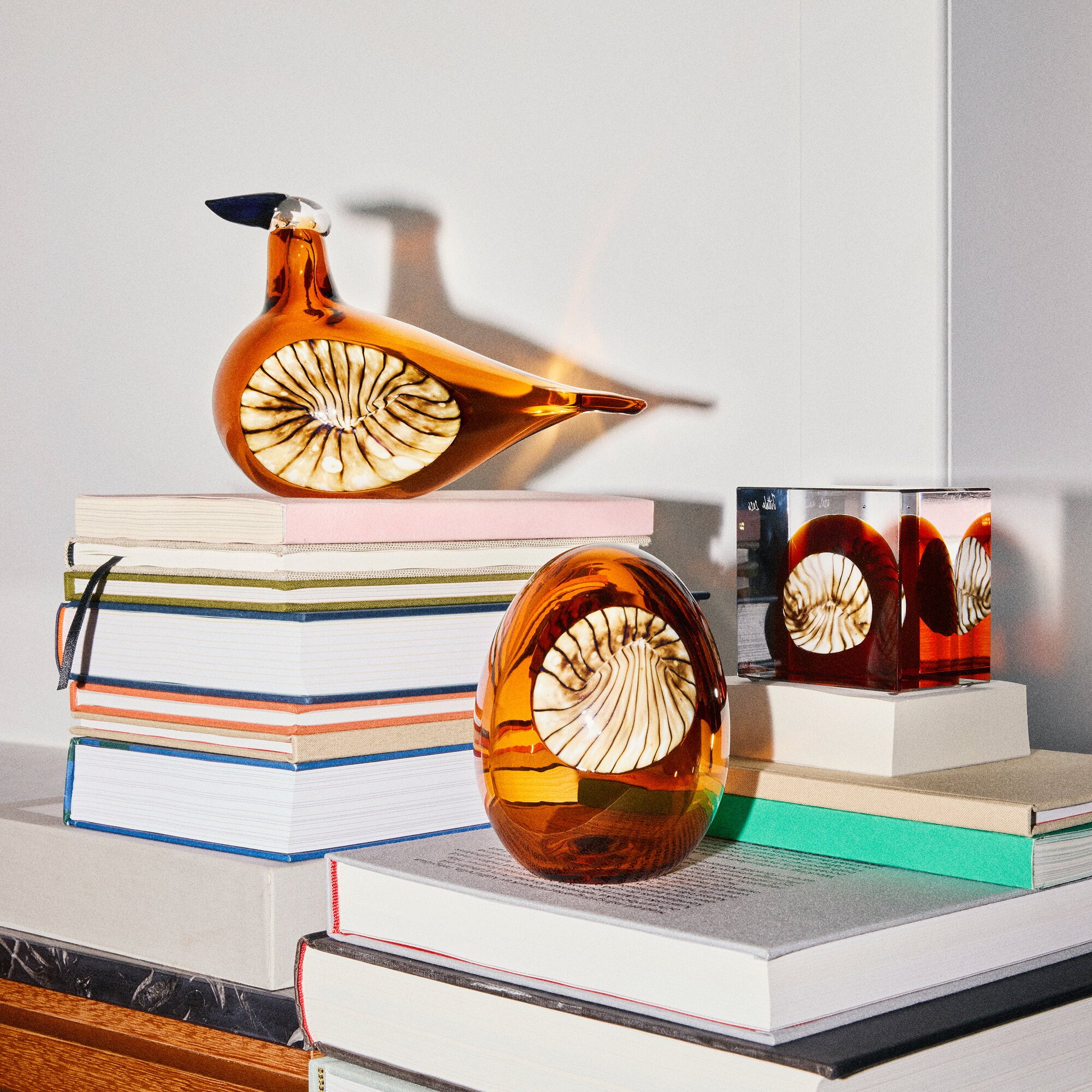 Iittala Annual Cube 2026 | Finnish Design Shop NL