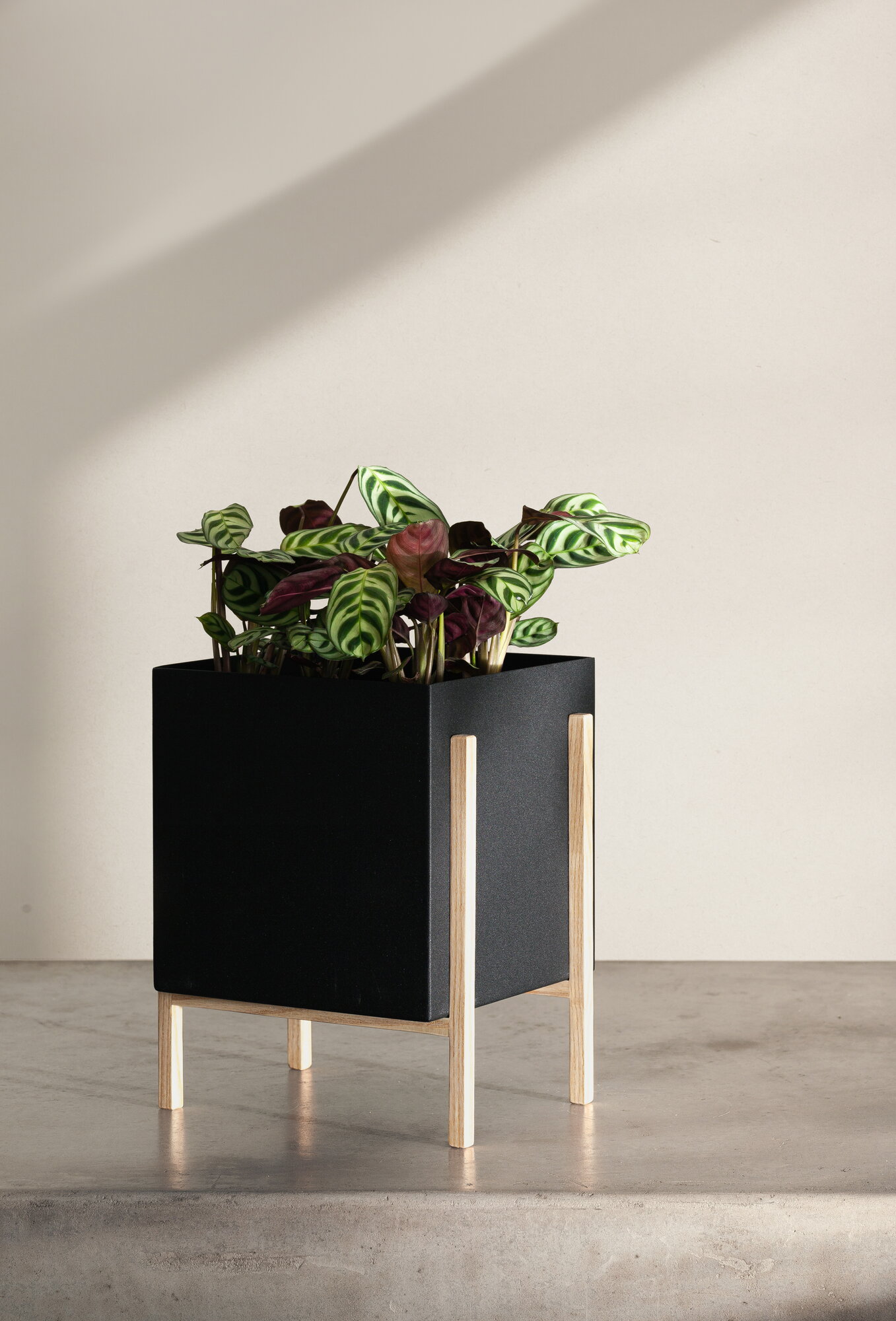 Design House Stockholm Botanic pot | Finnish Design Shop