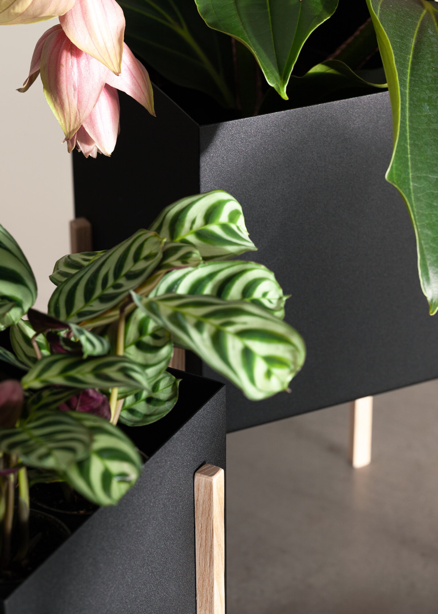 Design House Stockholm Botanic pot | Finnish Design Shop