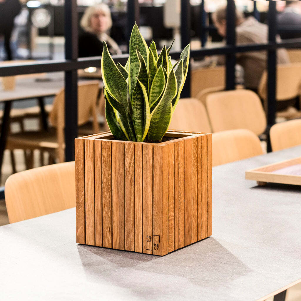 Squarely Copenhagen GrowOn ruukku, tumma tammi | Finnish Design Shop
