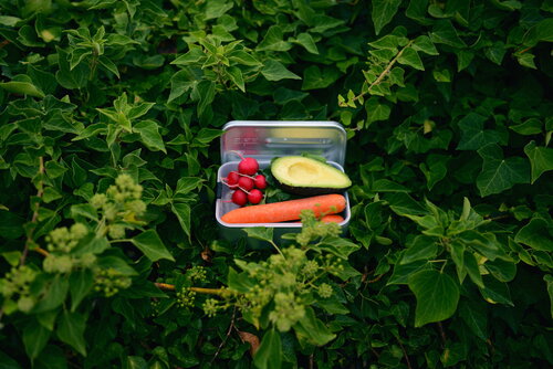 SIGG Metal Box Plus, L, aluminum | Finnish Design Shop