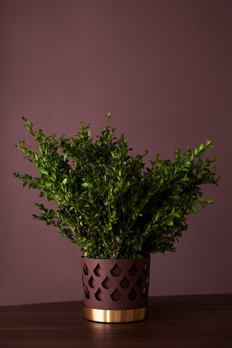 Klong Trio flower pot, small, dark red | Finnish Design Shop