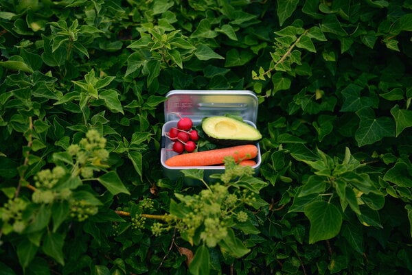 SIGG Metal Box Plus eväsrasia, L, alumiini | Finnish Design Shop