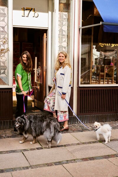 HAY Collier HAY Dogs, lisse, S-M, lavande - vert | Finnish Design Shop