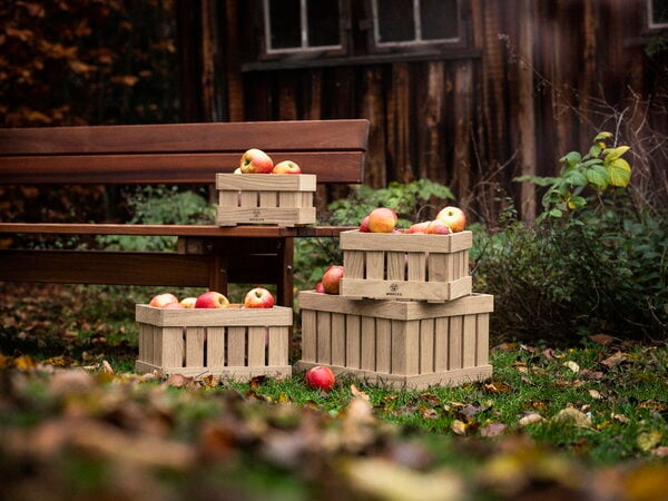 FDB Møbler X1 apple box, size 5, oak | Finnish Design Shop