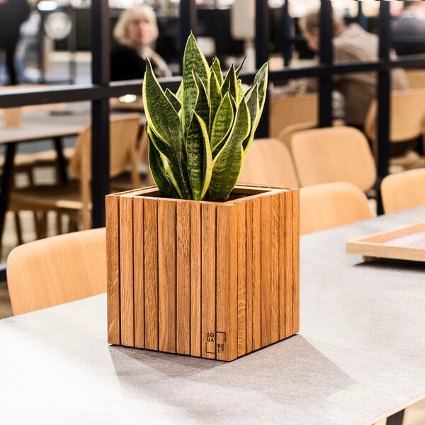 Squarely Copenhagen GrowOn planter, dark oak | Finnish Design Shop