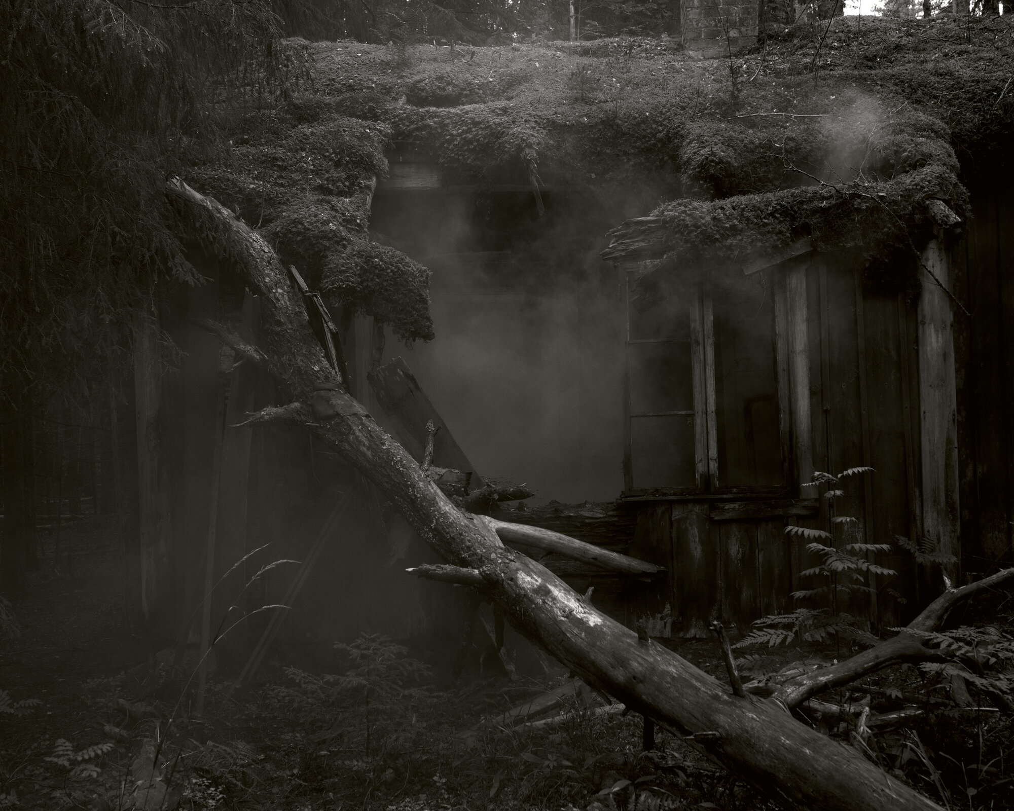 Kehrer Verlag Terje Abusdal: Slash and Burn | Finnish Design Shop NL
