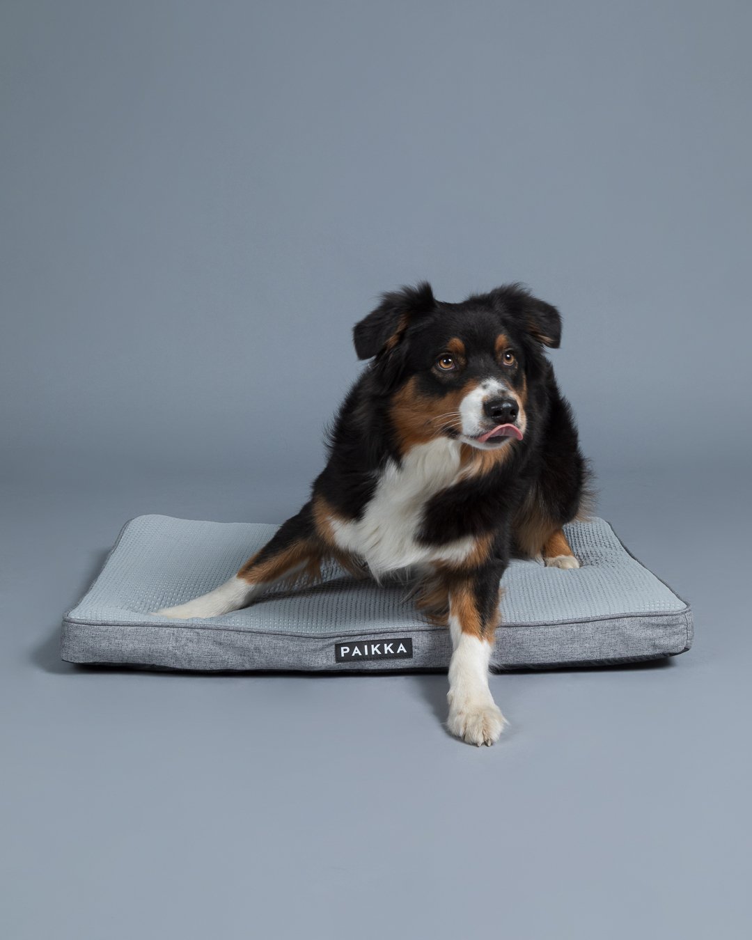 PAIKKA Cooling Orthopedic Mattress koiranpeti, 120 cm, harmaa | Finnish Design Shop