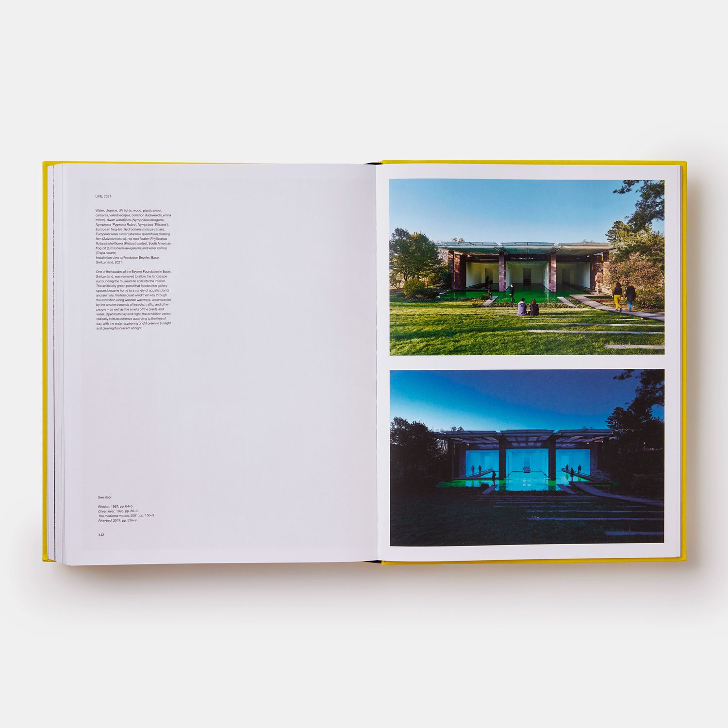 Phaidon Olafur Eliasson: Experience, revised and expanded edition ...