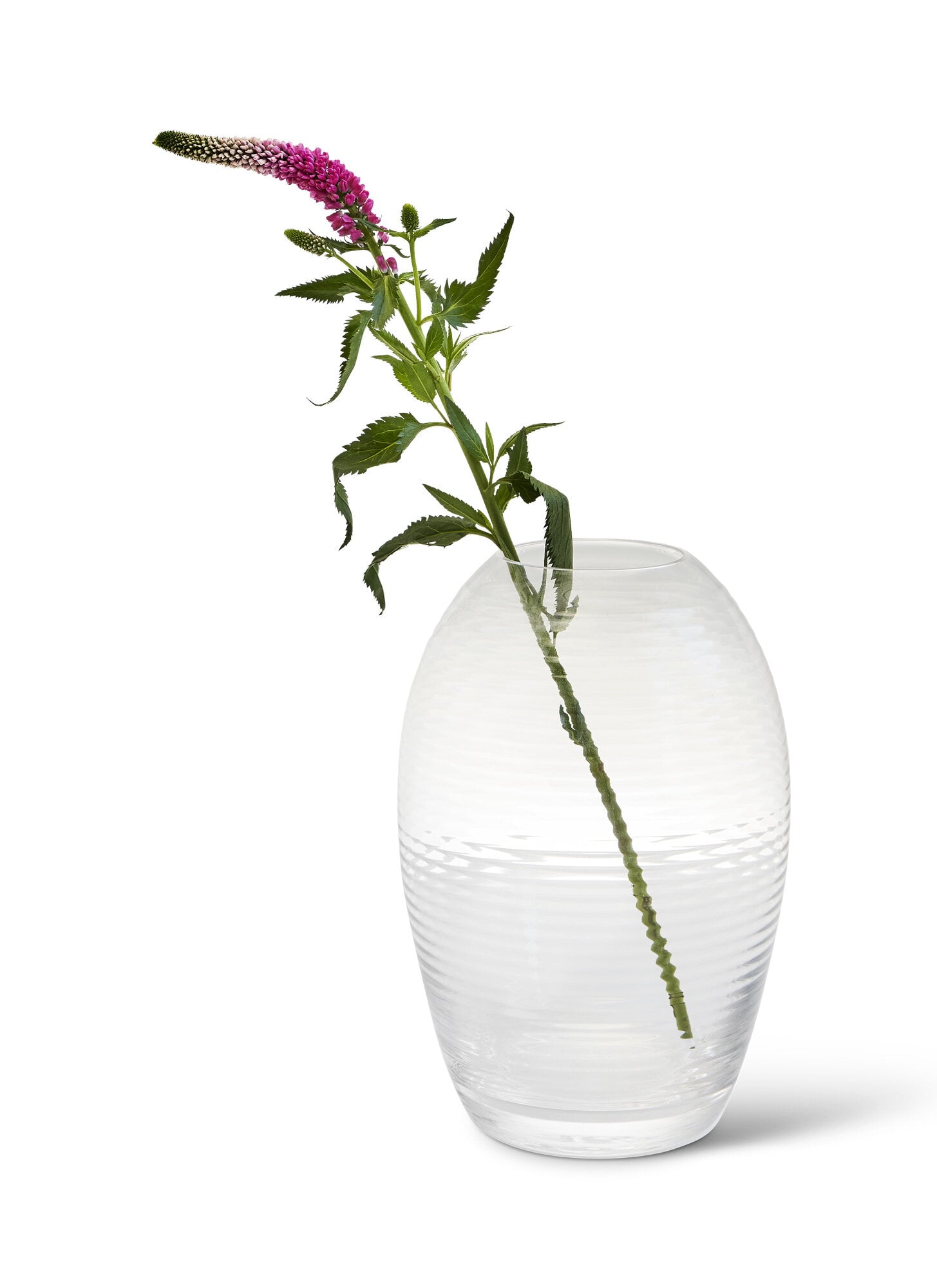 Spring Copenhagen Laine vase, oval, 20 cm, clear | Finnish Design Shop