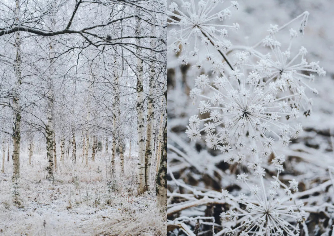 Cozy Publishing Food Over the Campfire - Recipes for Day Hikes and ...
