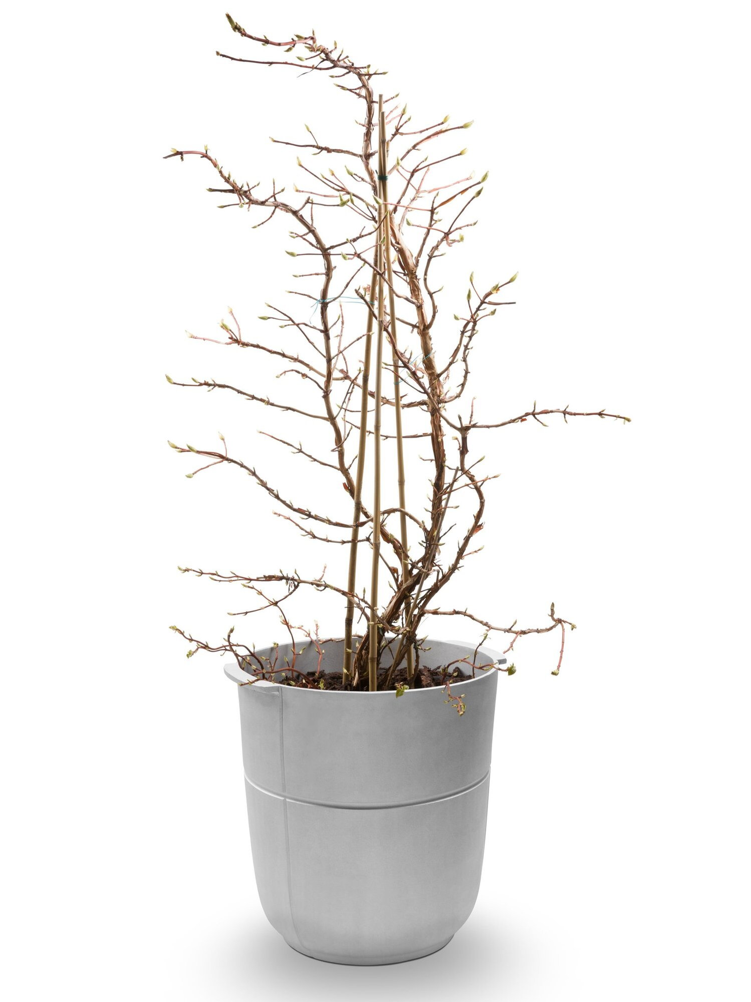 Korbo Linea no 1 planter, high, aluminium | Finnish Design Shop