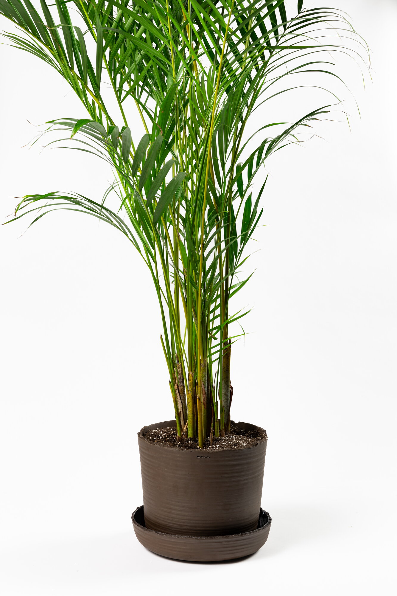 Vaidava Ceramics Soil pot with saucer, XXL, brown | Finnish Design Shop