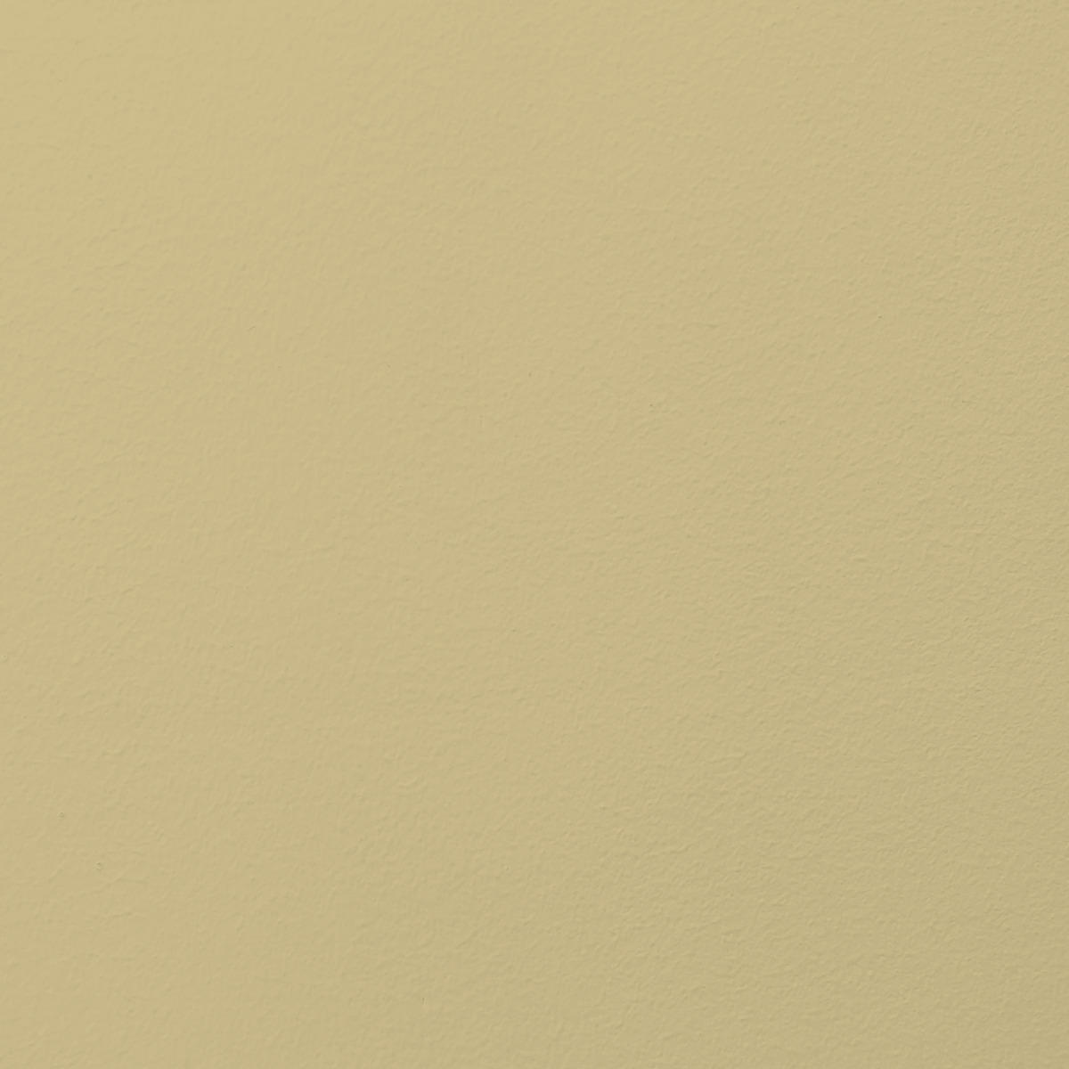 Cover Story Interior paint, 3,6 L, 030 VIRGINIA - straw green | Finnish ...