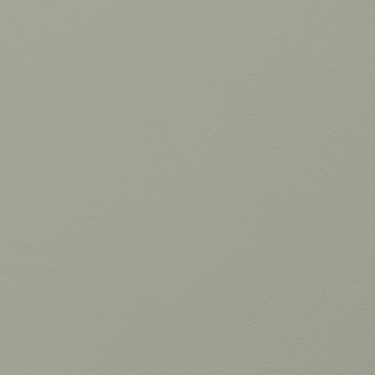 Cover Story Paint sample, LB4 JILL - sage green | Finnish Design Shop
