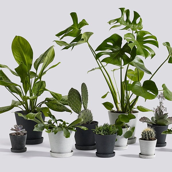 HAY Flowerpot and saucer, L, grey | Finnish Design Shop