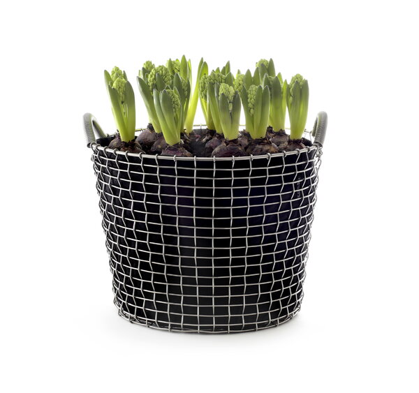Korbo Classic 24 wire basket, acid proof stainless steel | Finnish ...