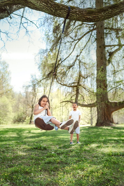 Lillagunga Disco Outdoor swing, walnut - black | Finnish Design Shop